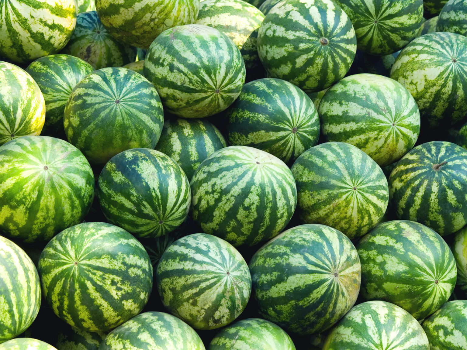 WATERMELON - MORE THAN A SUMMER THIRST QUENCHER - Project Wellness Now