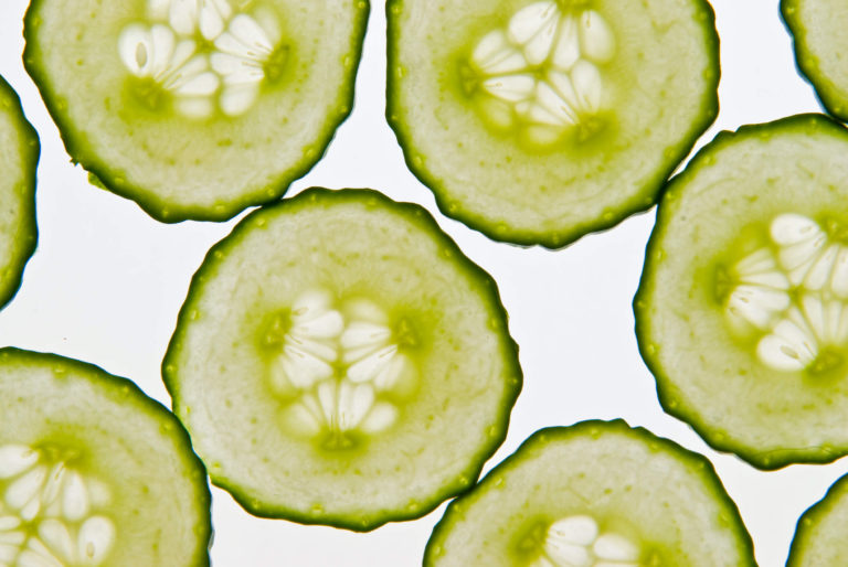 ALL YOU NEED TO KNOW ABOUT CUCUMBERS - Project Wellness Now